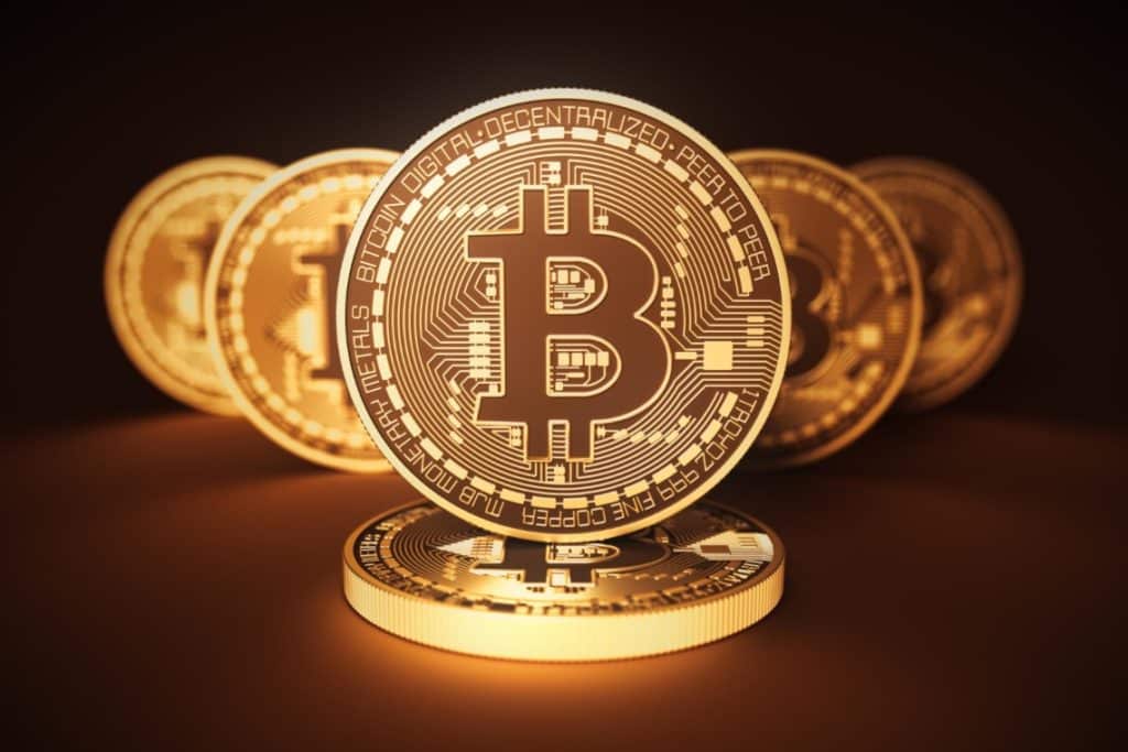 The main wallets for Bitcoin and crypto - The Cryptonomist