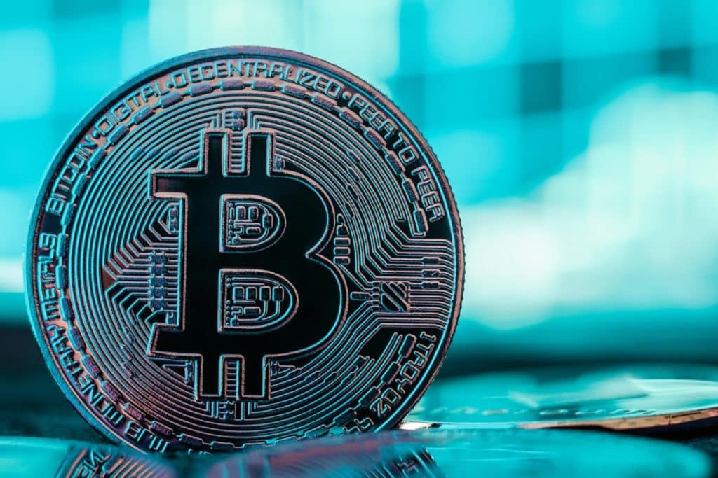 Bitcoin: whale boom after FTX crash - The Cryptonomist