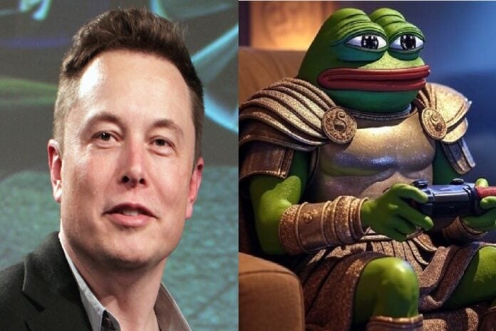 Elon Musk: un nuovo post del CEO di Tesla genera un “pump” per la meme ...